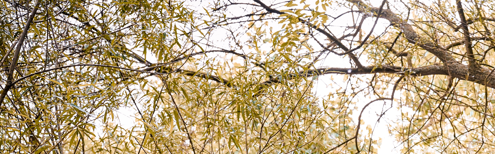 FILATI Handknitting | Lana Grossa knitting magazine | FILATI Online Shop